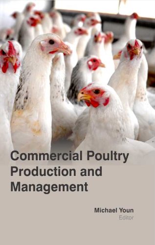 Commercial Poultry Production and Management – BooksWagon