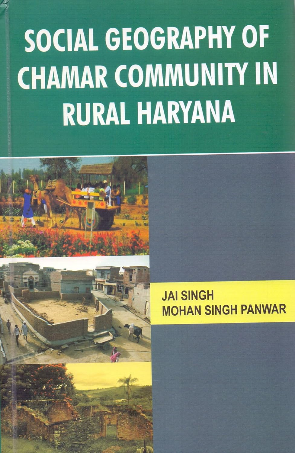 Social Geography of Chamar Community in Rural Haryana – BooksWagon